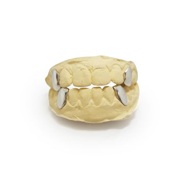 Custom Silver Grillz & Grills for Teeth - Free Mold Kits | Grillz Godz